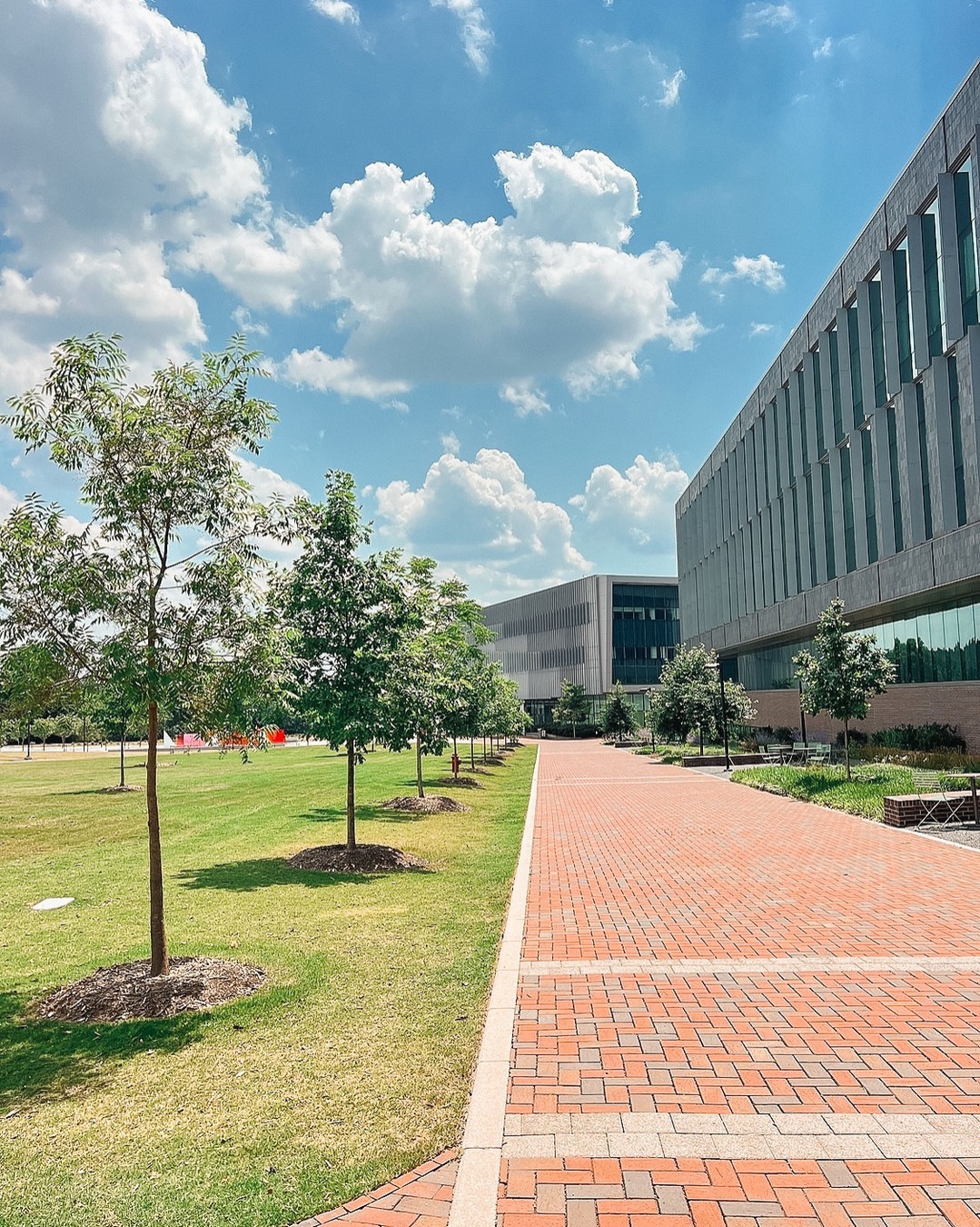 Uncommon Raleigh | Student Apartments for Rent in Raleigh, NC