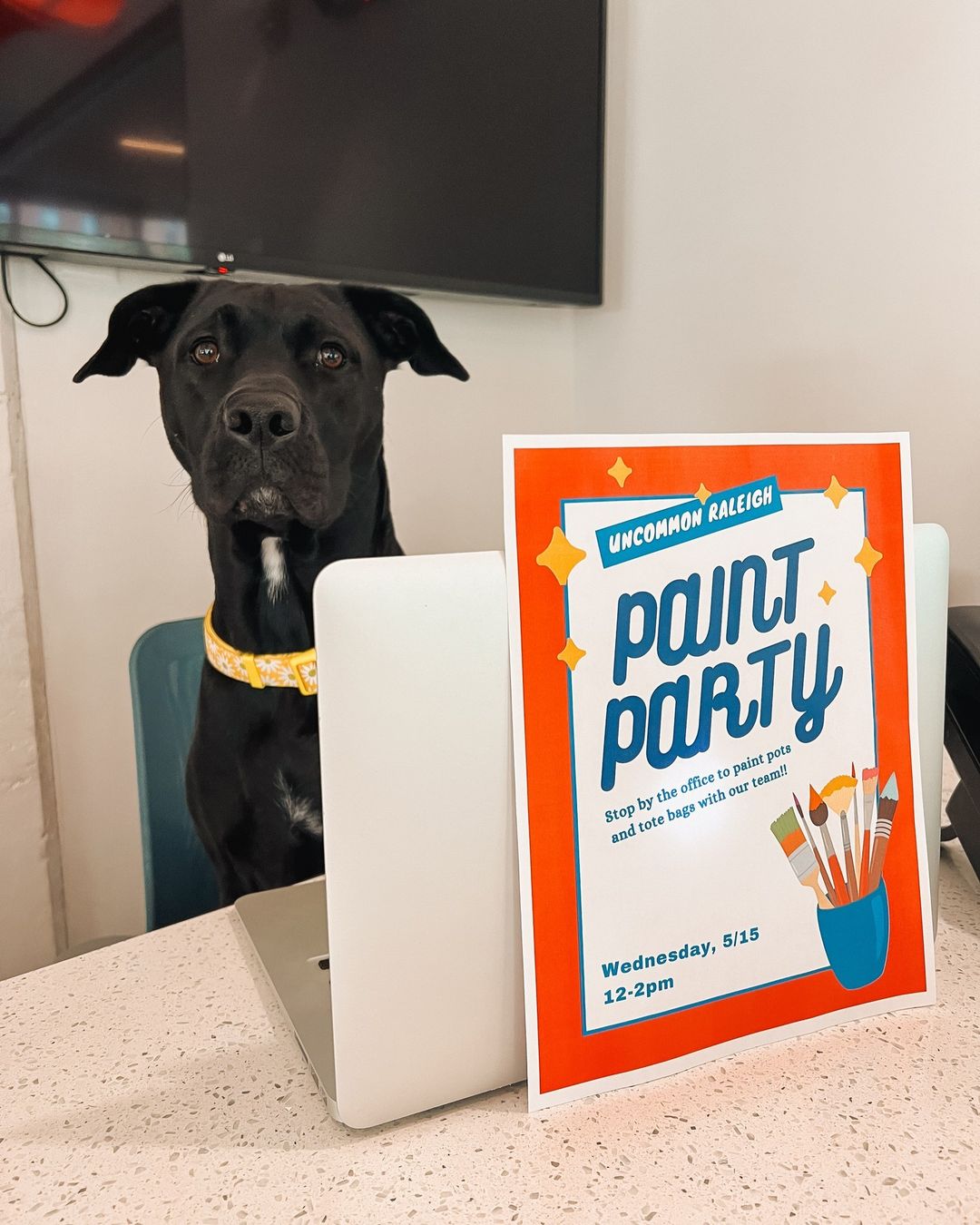 Uncommon Raleigh | Student Apartments for Rent in Raleigh, NC