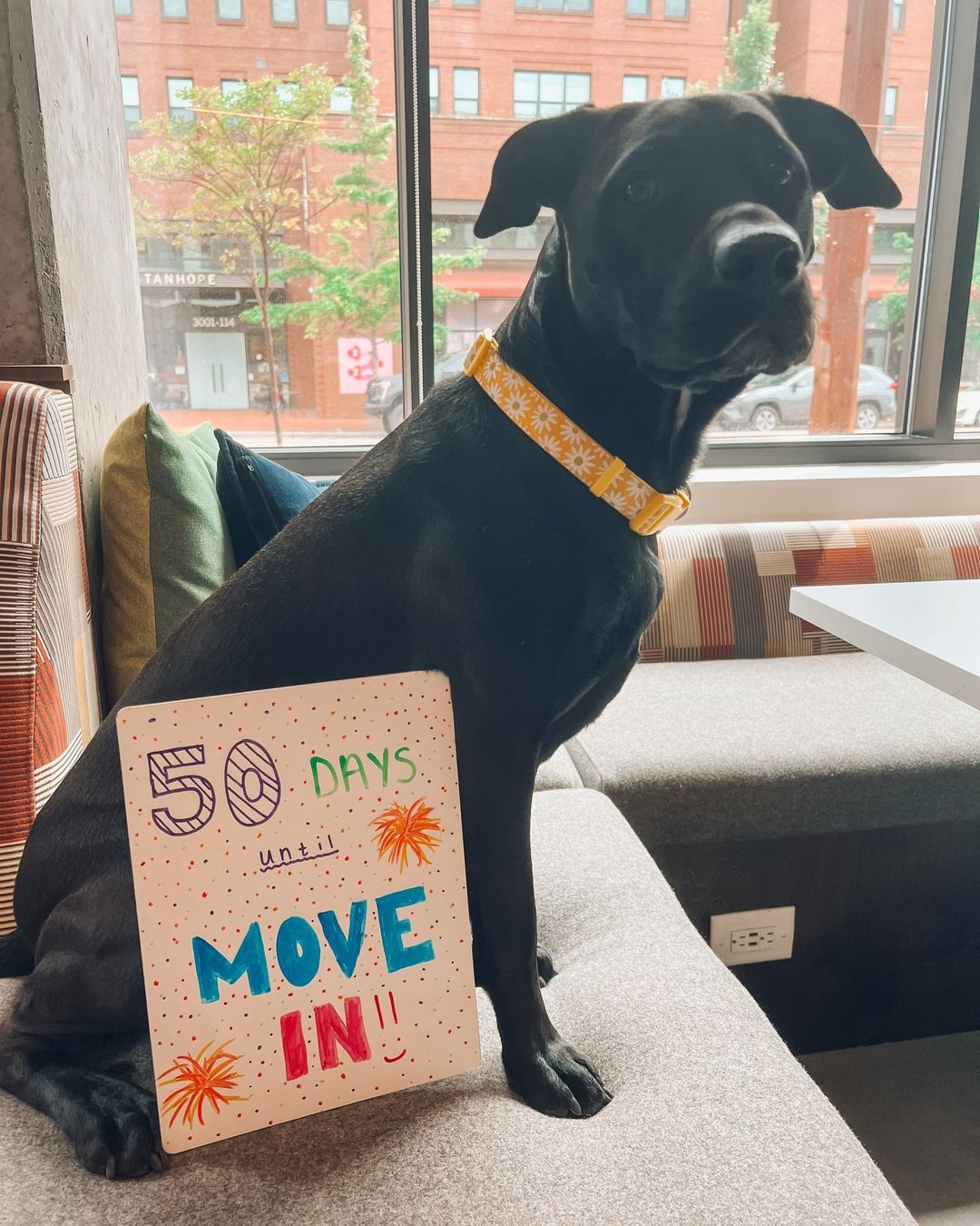 Uncommon Raleigh | Student Apartments for Rent in Raleigh, NC