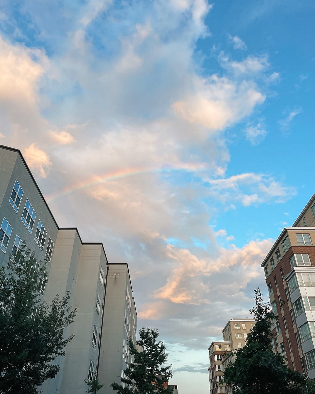 Uncommon Raleigh | Student Apartments for Rent in Raleigh, NC